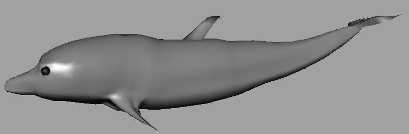 Amy Gooch's Model Collection